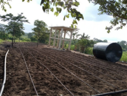 TECAP, SA - TECNOLOGIA E CONSULTORIA AGRO-PECUARIA